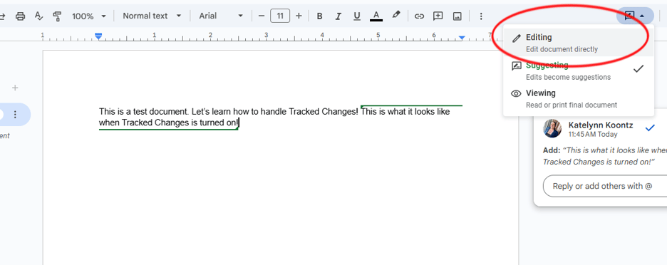 How to Permanently Hide Markups and Comments in Google Docs / Word